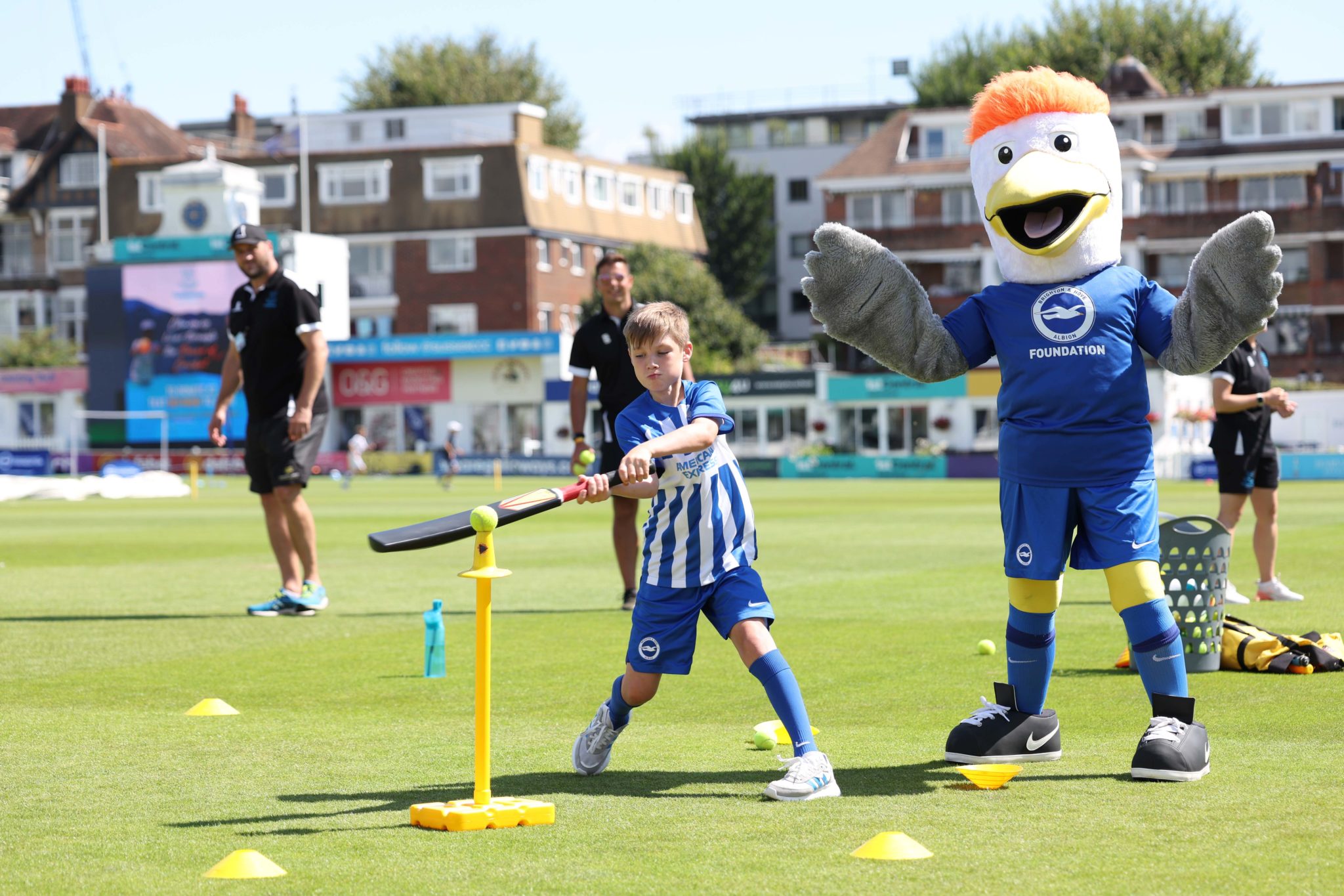 Looking back on an exciting summer at BHAFC Foundation - Brighton ...